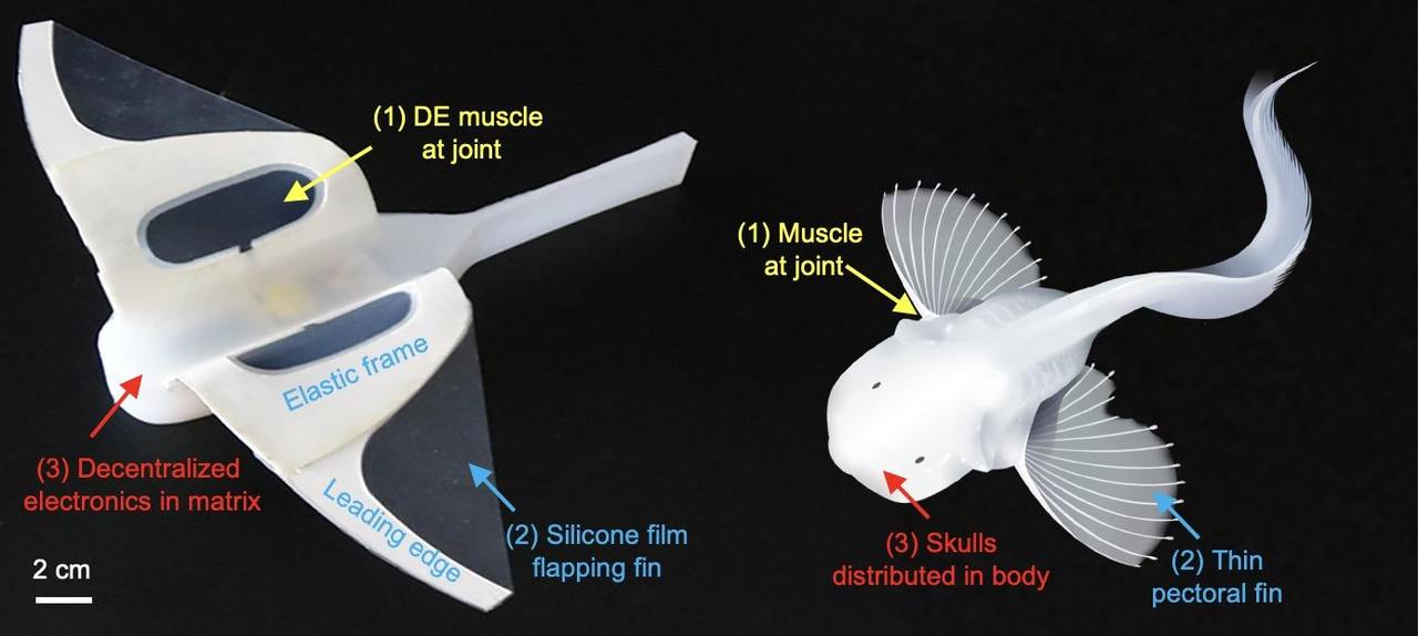 A milestone achievement in soft robotics by Zhejiang Lab and Zhejiang ...