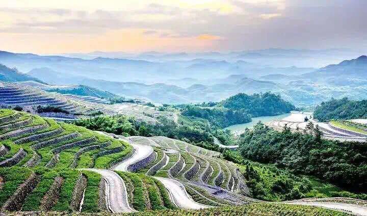 Bellwether | Changshan County becomes the first to complete the action ...