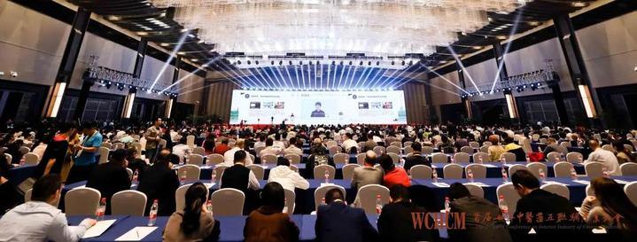 Conference on the integration of Chinese medicine and Internet wraps up ...