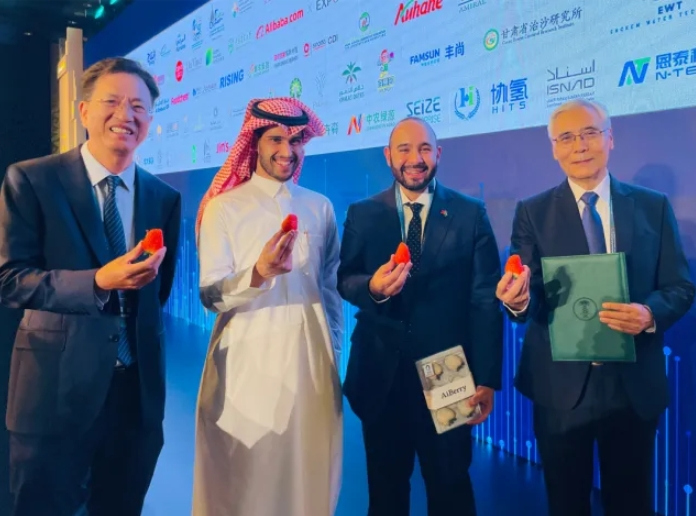 出海沙特！“滨江造”AI植物工厂助力农业智能化